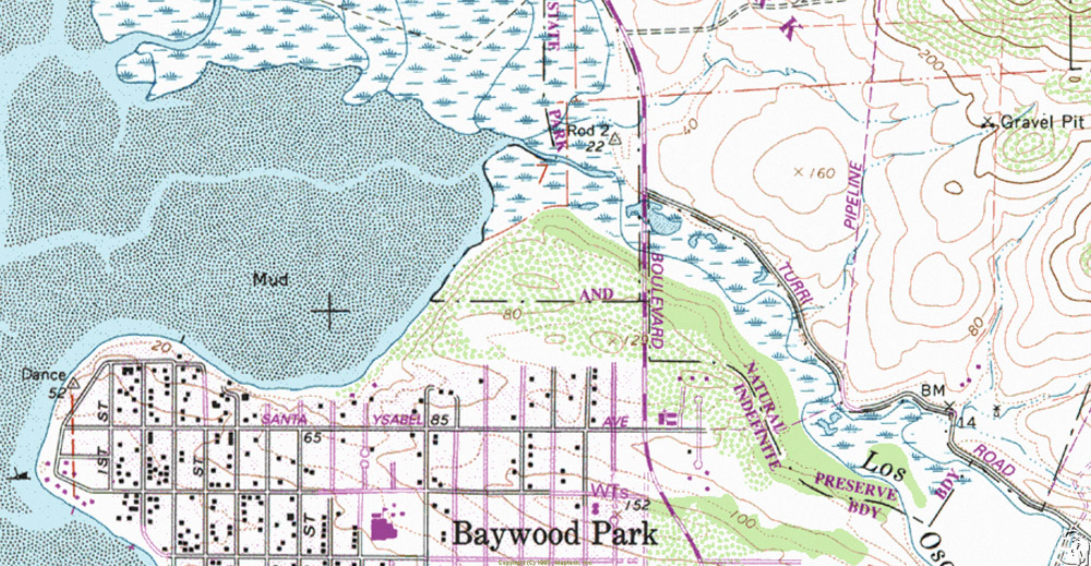 Visiting the Forest - Walks